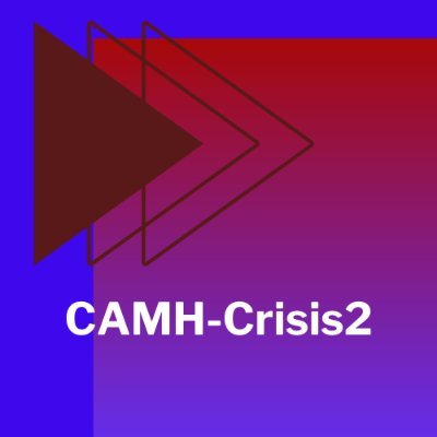 Survey Archives - ACAMH